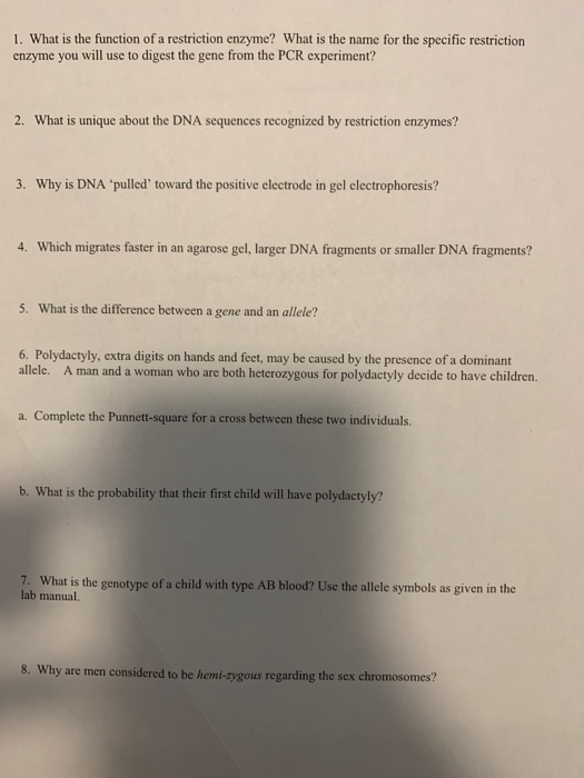 Solved 1. What is the function of a restriction enzyme? What | Chegg.com