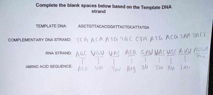 Solved Complete the blank spaces below based on the Template | Chegg.com