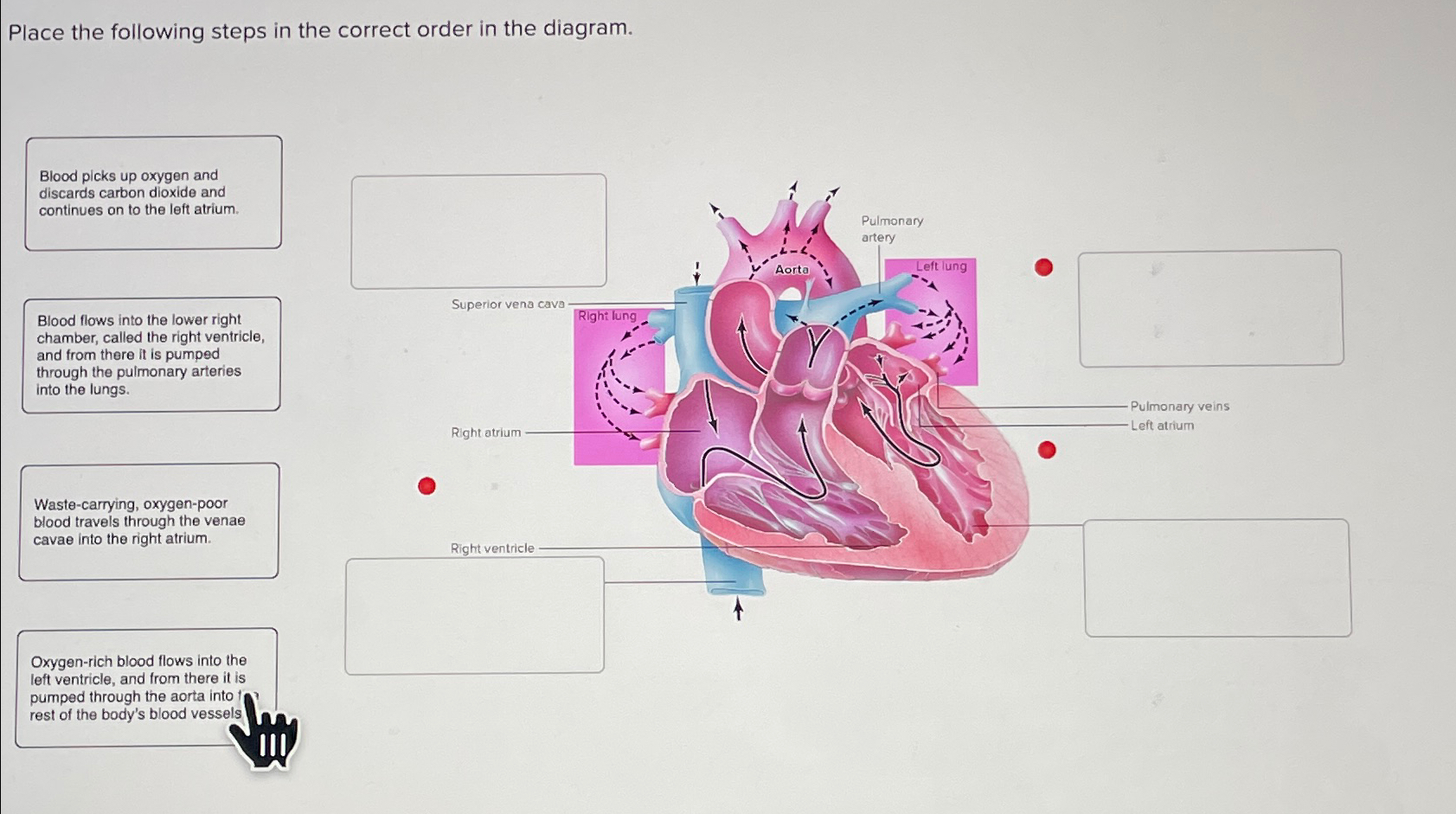 Solved Place the following steps in the correct order in the | Chegg.com