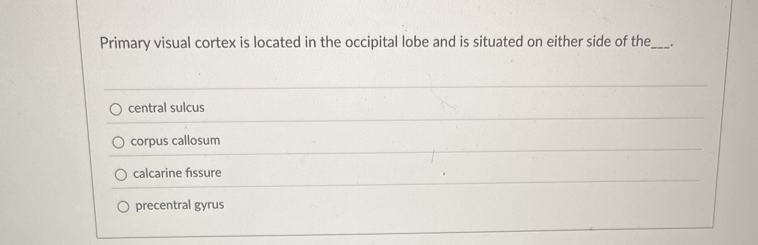 Solved Primary visual cortex is located in the occipital | Chegg.com