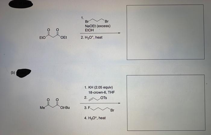 Solved 1. Br Br NaOEt (excess) EtOH O O Eto OEt 2. H30. heat | Chegg.com