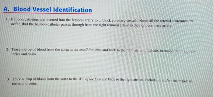 Solved Name Date Section EXERCISE Using Your Knowledge 30 A. | Chegg.com