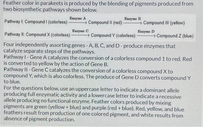 Solved Feather color in parakeets is produced by the | Chegg.com