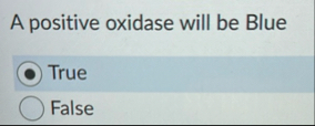 Solved A positive oxidase will be Blue ﻿True ﻿False | Chegg.com