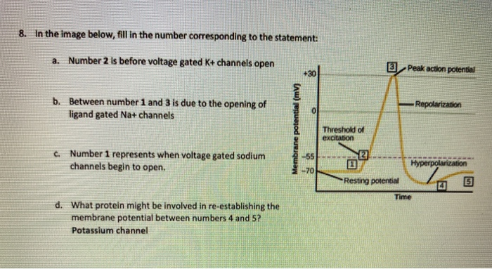 Solved 8. In the image below, fill in the number | Chegg.com