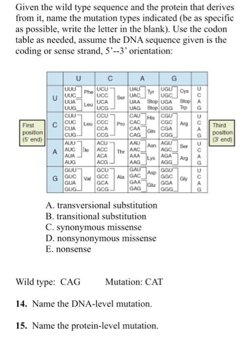 [Solved]: Given the wild type sequence and the protein that