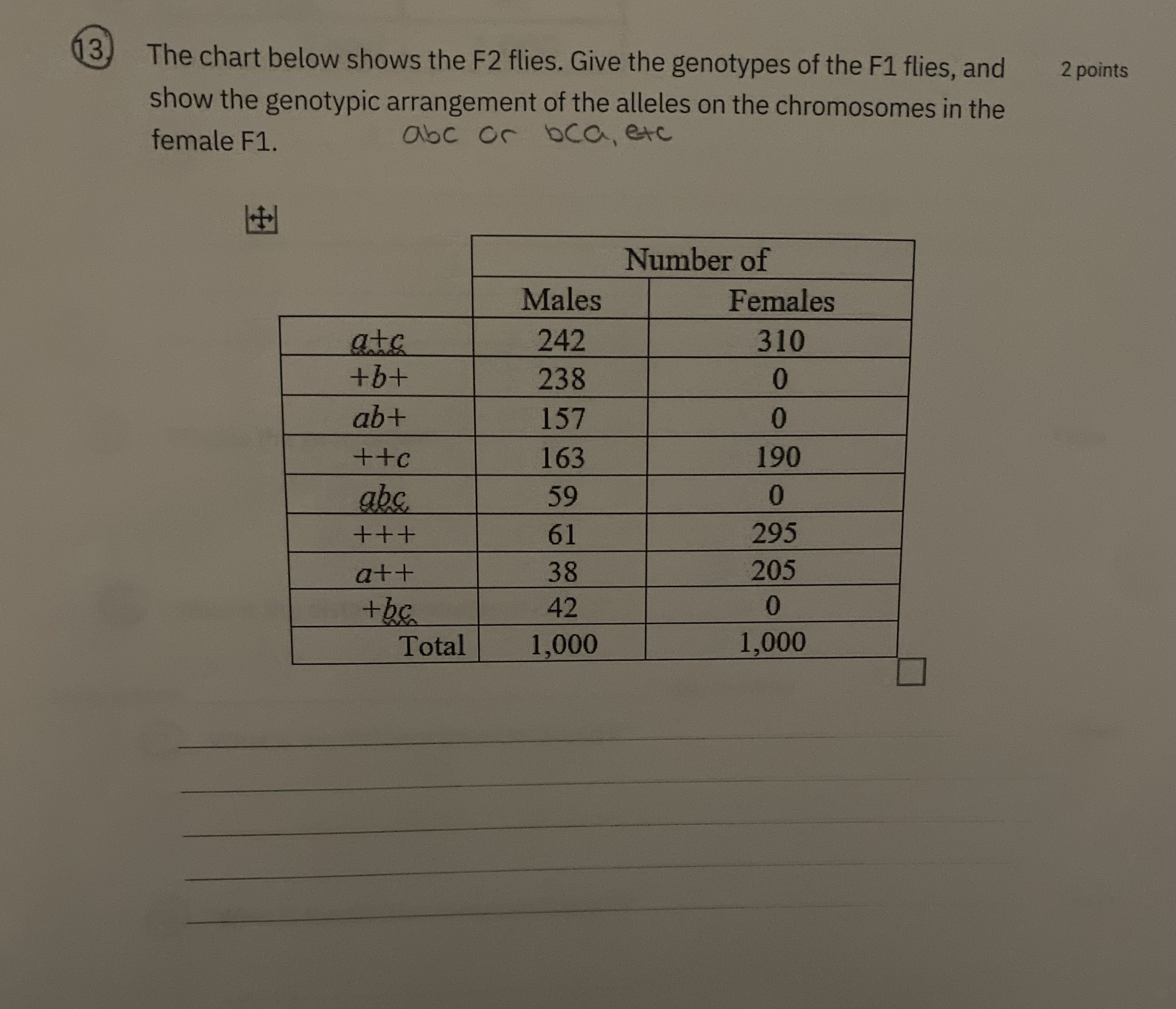 Solved (13) ﻿The chart below shows the F2 ﻿flies. Give the | Chegg.com