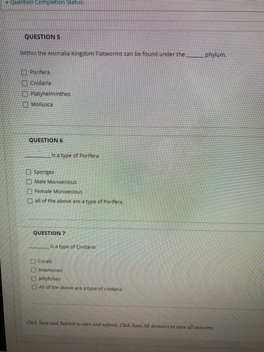 Solved Question completion Status: QUESTION 5 Within the | Chegg.com