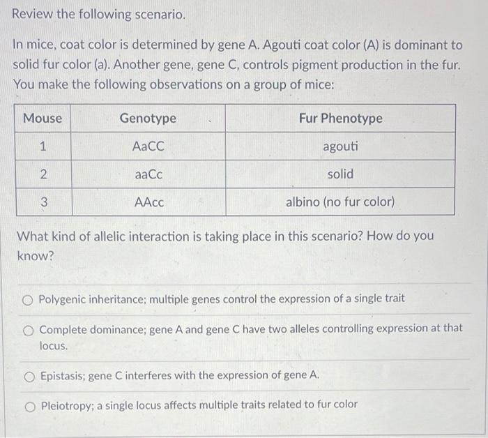 Solved Review the following scenario. In mice, coat color is | Chegg.com