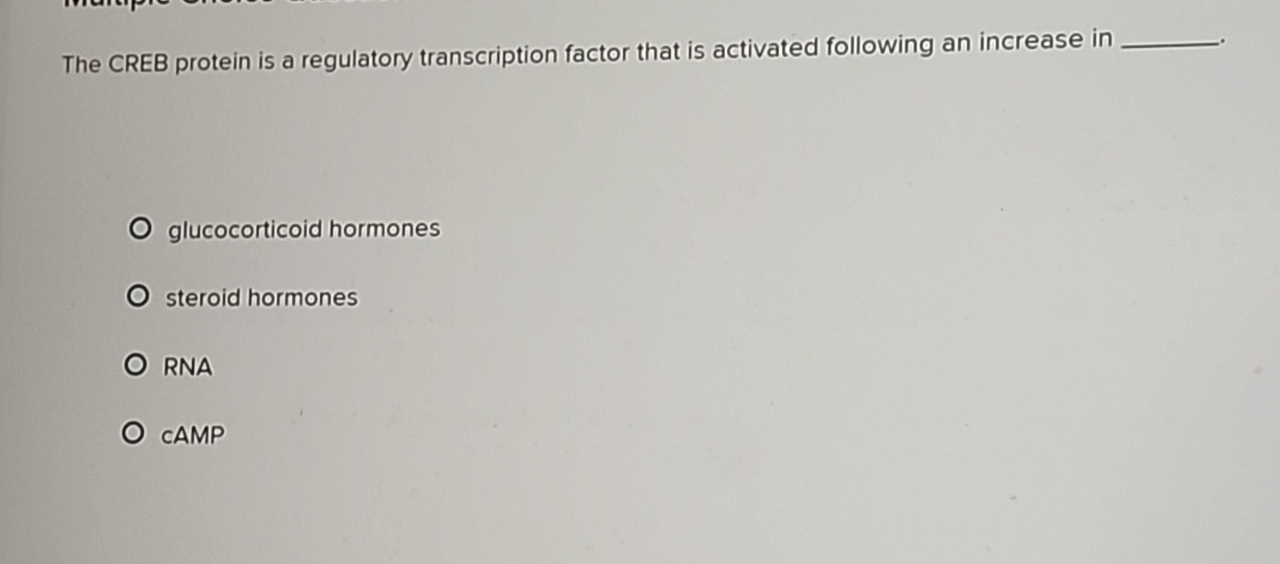 Solved The CREB protein is a regulatory transcription factor | Chegg.com