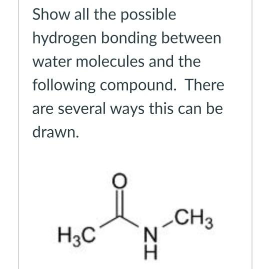 Solved Question 2 4 pts Draw and name all the possible amide | Chegg.com