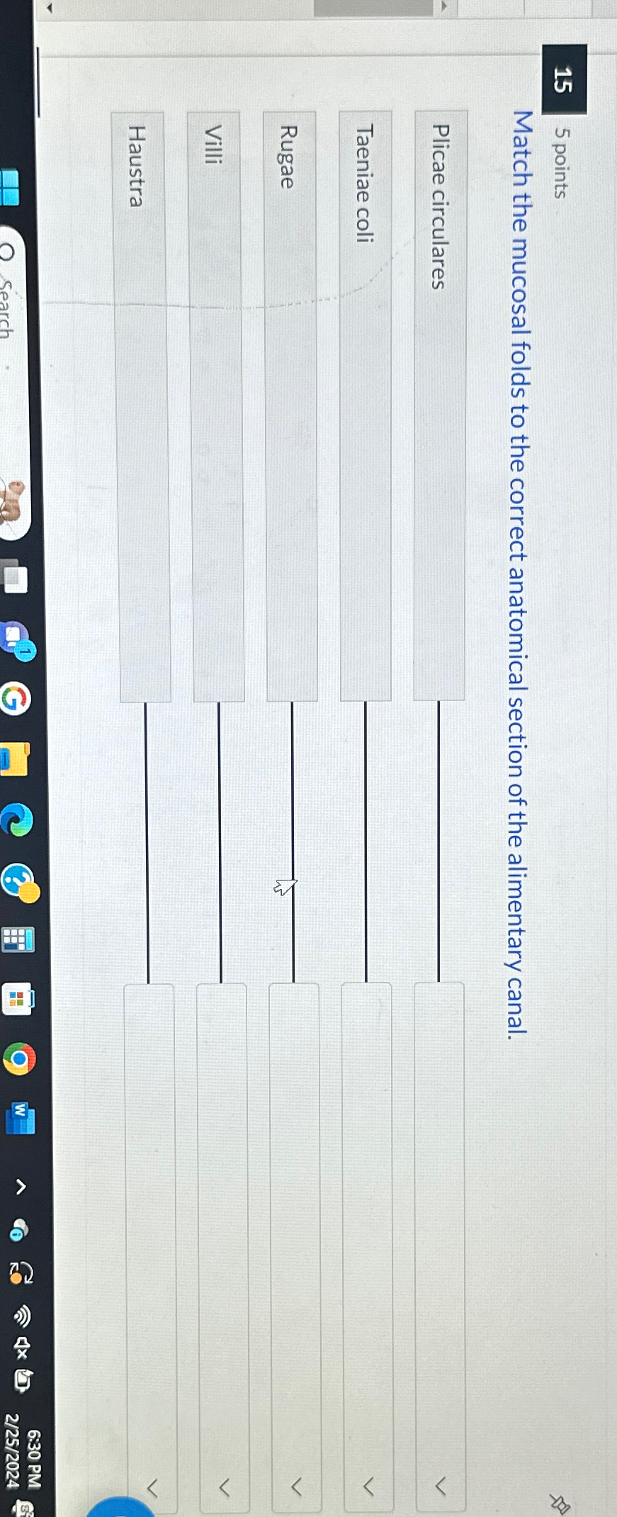 Solved 155 ﻿pointsMatch the mucosal folds to the correct | Chegg.com