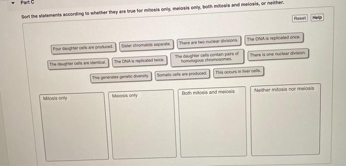 Solved Part Sort the statements according to whether they | Chegg.com