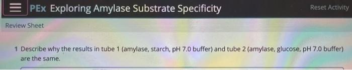 Solved Reset Activity PEx Exploring Amylase Substrate | Chegg.com