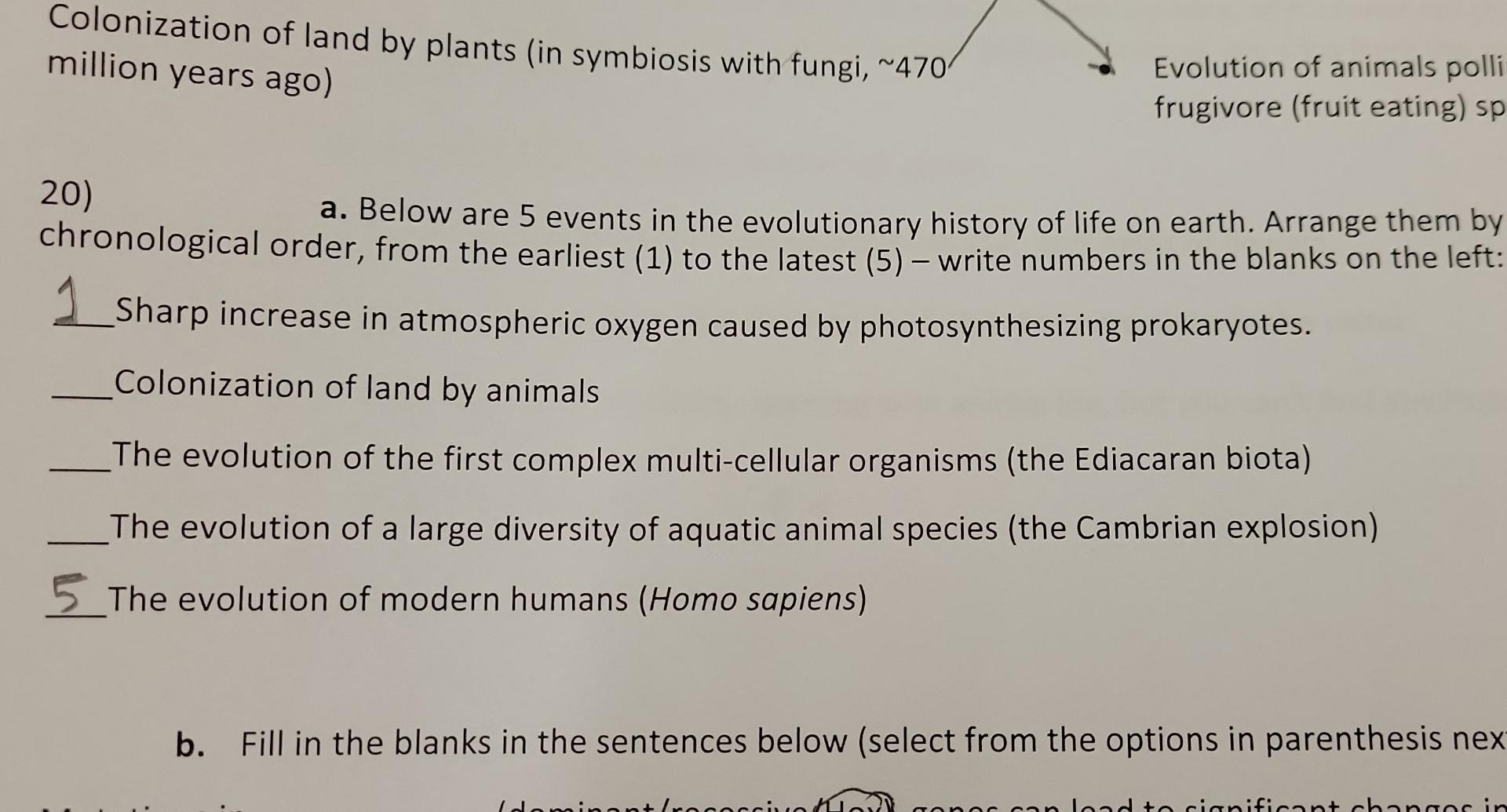 Solved Colonization of land by plants (in symbiosis with | Chegg.com