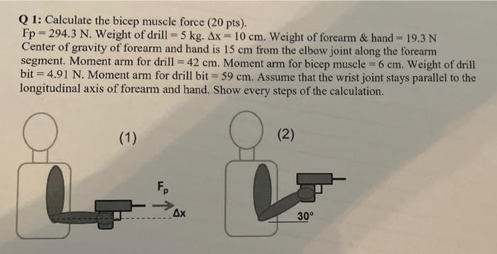 Solved Q1: Calculate the bicep muscle force (20 pts). Fp = | Chegg.com