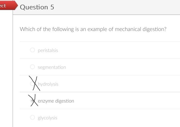 Solved Which of the following is an example of mechanical | Chegg.com