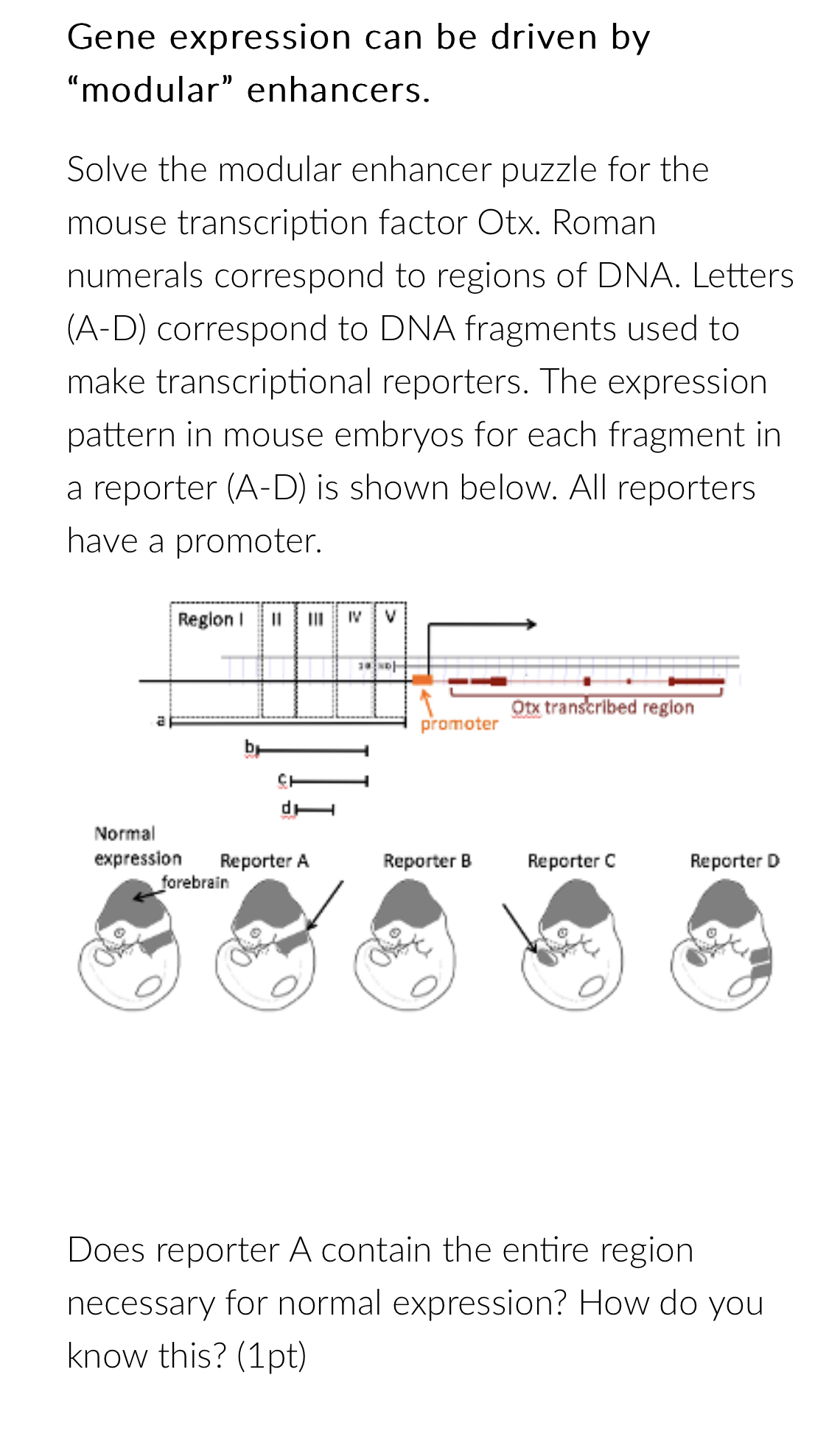 Solved Gene expression can be driven by "modular" | Chegg.com