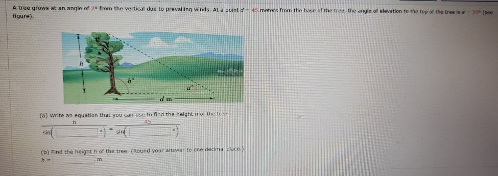 Solved A tree grows at an angle of 20 from the vertical due | Chegg.com