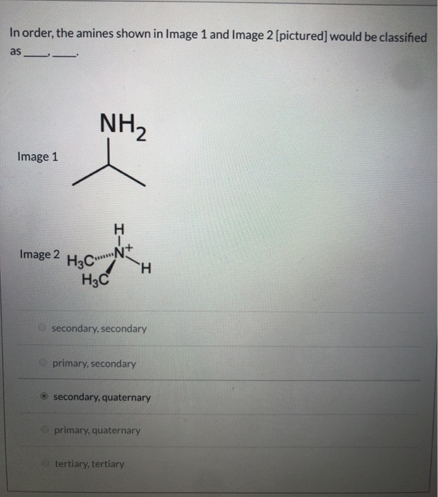Solved In order, the amines shown in Image 1 and Image 2 | Chegg.com