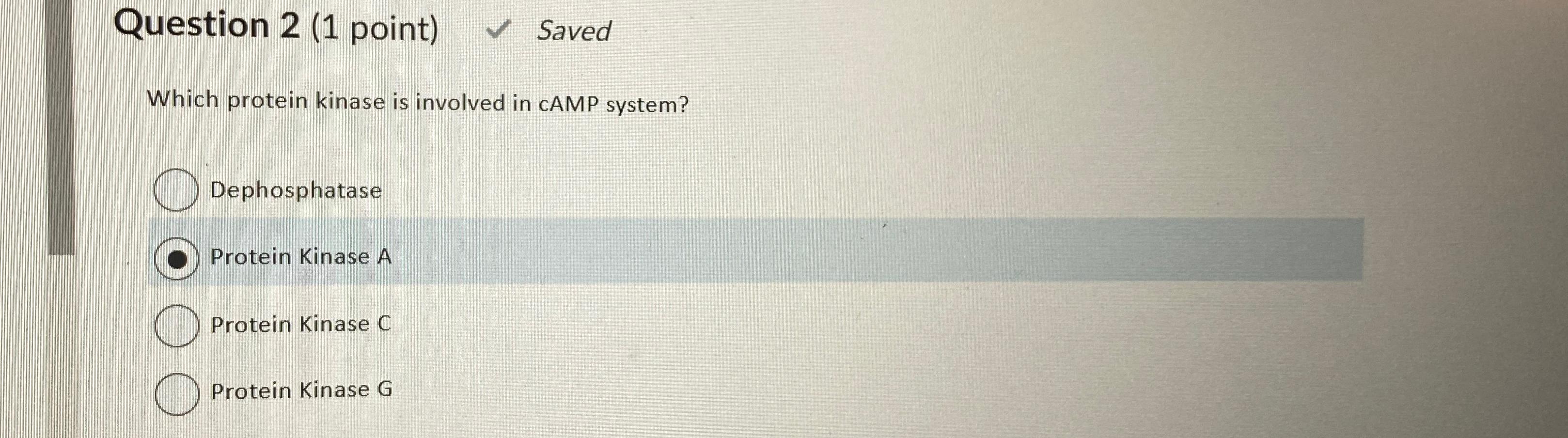 Solved Question 2 (1 ﻿point)SavedWhich protein kinase is | Chegg.com