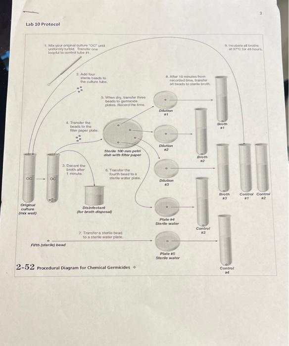 Solved Observations/Interpretations (for reference, figure | Chegg.com