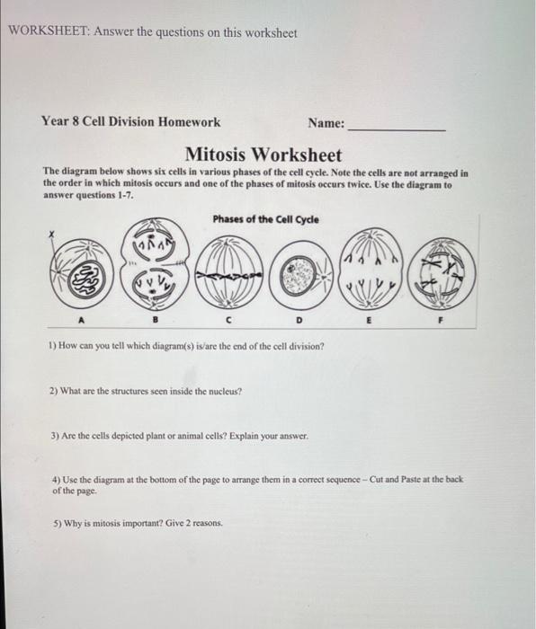 Solved WORKSHEET Answer The Questions On This Worksheet Chegg