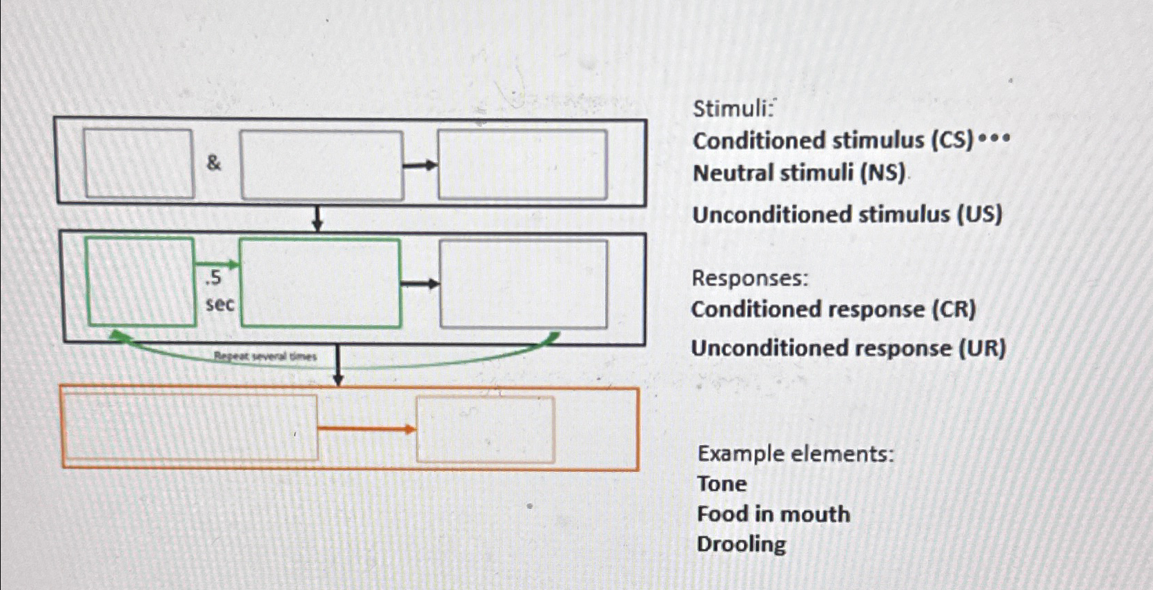 Solved Stimuli:Conditioned stimulus (CS) * * ﻿Neutral | Chegg.com