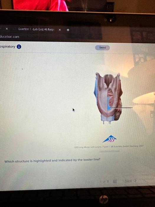 Solved Which structure is highlighted and indicated by the | Chegg.com