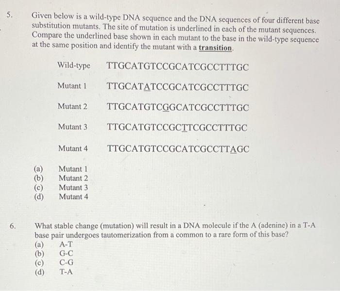 Solved 5 . Given below is a wild-type DNA sequence and the | Chegg.com
