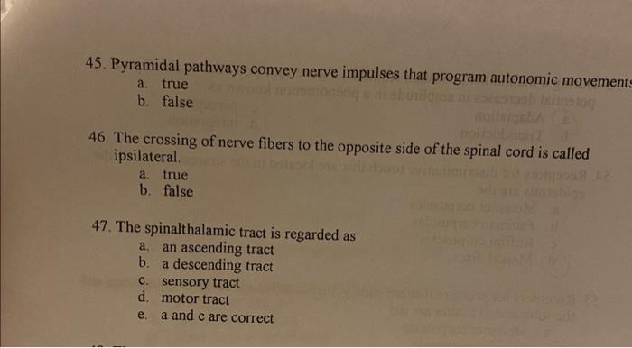 Solved 45. Pyramidal pathways convey nerve impulses that | Chegg.com