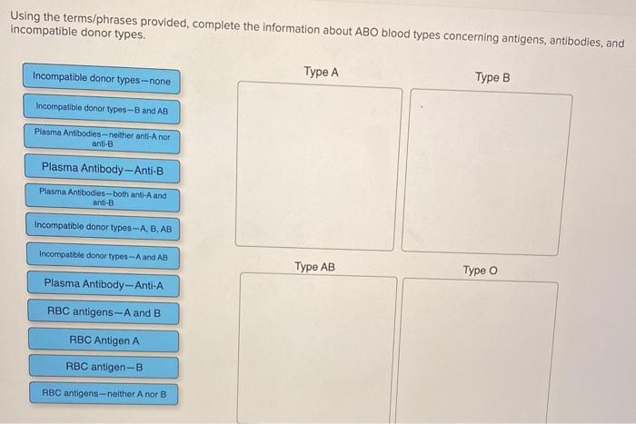 Solved Using the terms/phrases provided, complete the | Chegg.com
