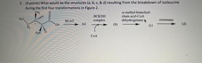 Solved 5. (4 points) What would be the structures (a, b, c, | Chegg.com