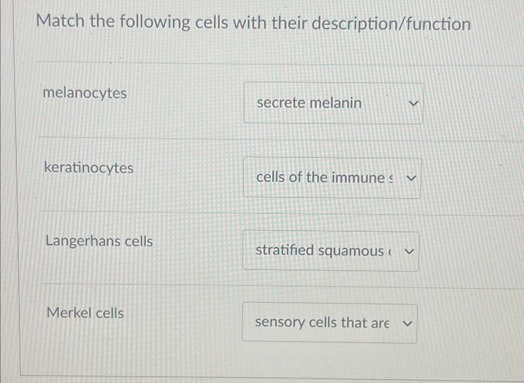 Solved Match the following cells with their | Chegg.com