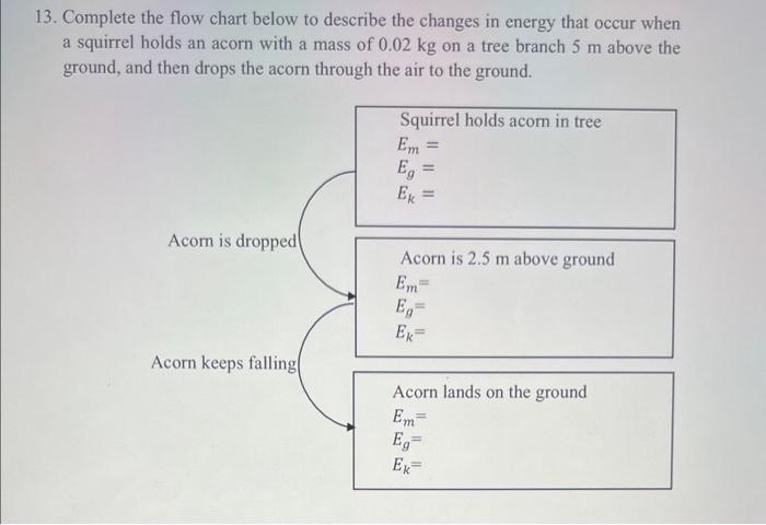 Solved 13. Complete the flow chart below to describe the | Chegg.com