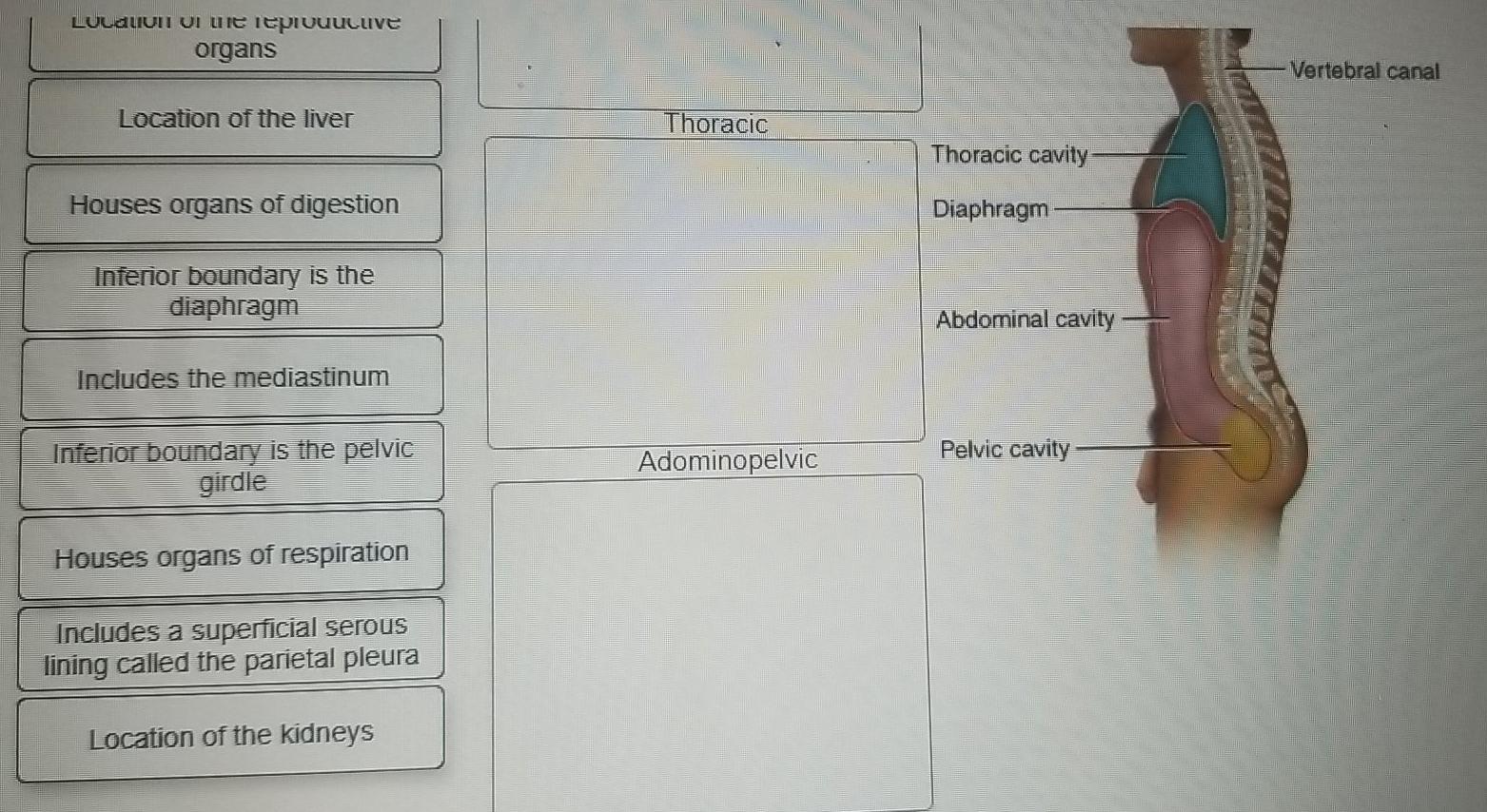 Solved Drag each label into the proper position, then | Chegg.com