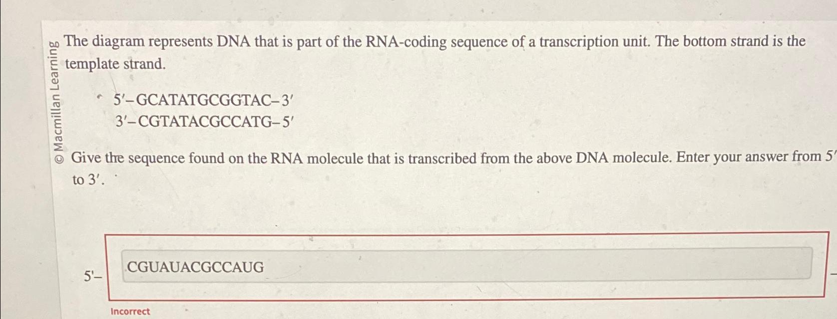 Solved The diagram represents DNA that is part of the | Chegg.com
