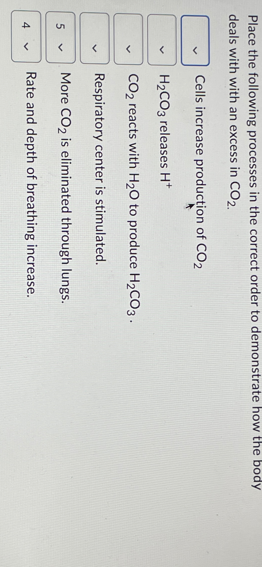 Solved Place the following processes in the correct order to | Chegg.com