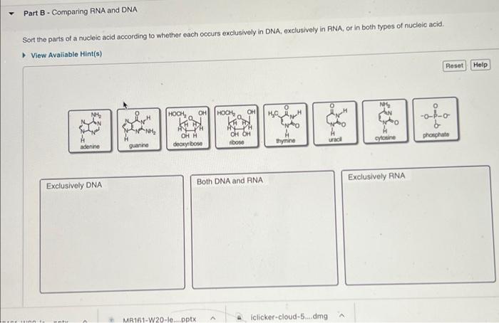 Solved Part B - Comparing RNA and DNA Sort the parts of a | Chegg.com