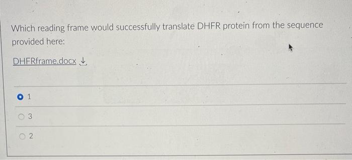 Solved Which reading frame would successfully translate DHFR | Chegg.com