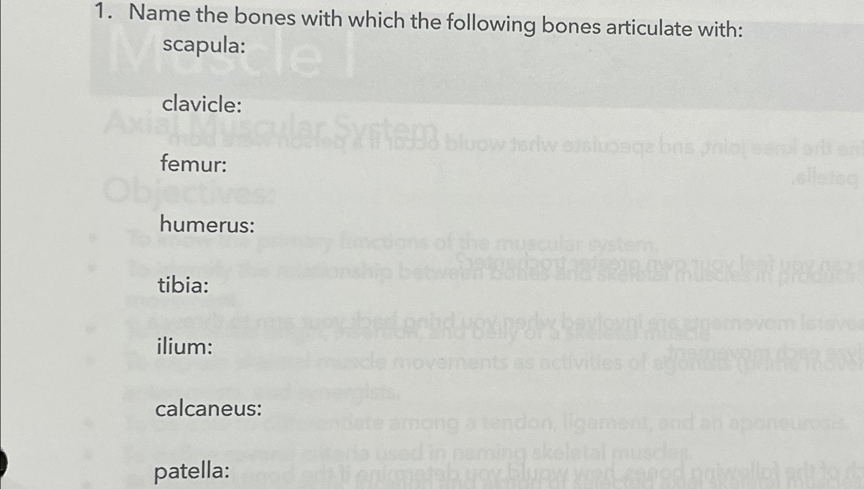 Solved Name the bones with which the following bones | Chegg.com