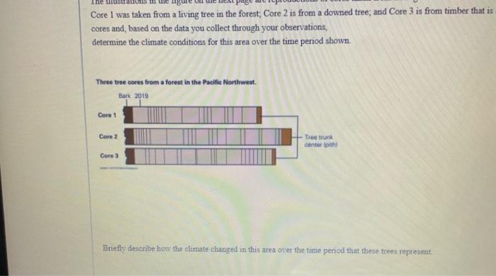 Solved Tree Ring Cores as Indicators of Local Climate The | Chegg.com