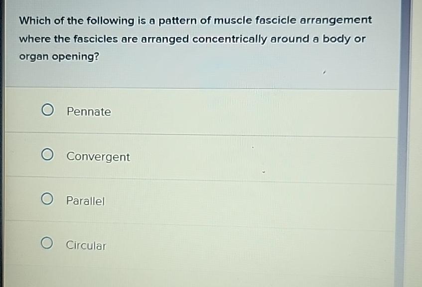 Solved Which of the following is a pattern of muscle | Chegg.com