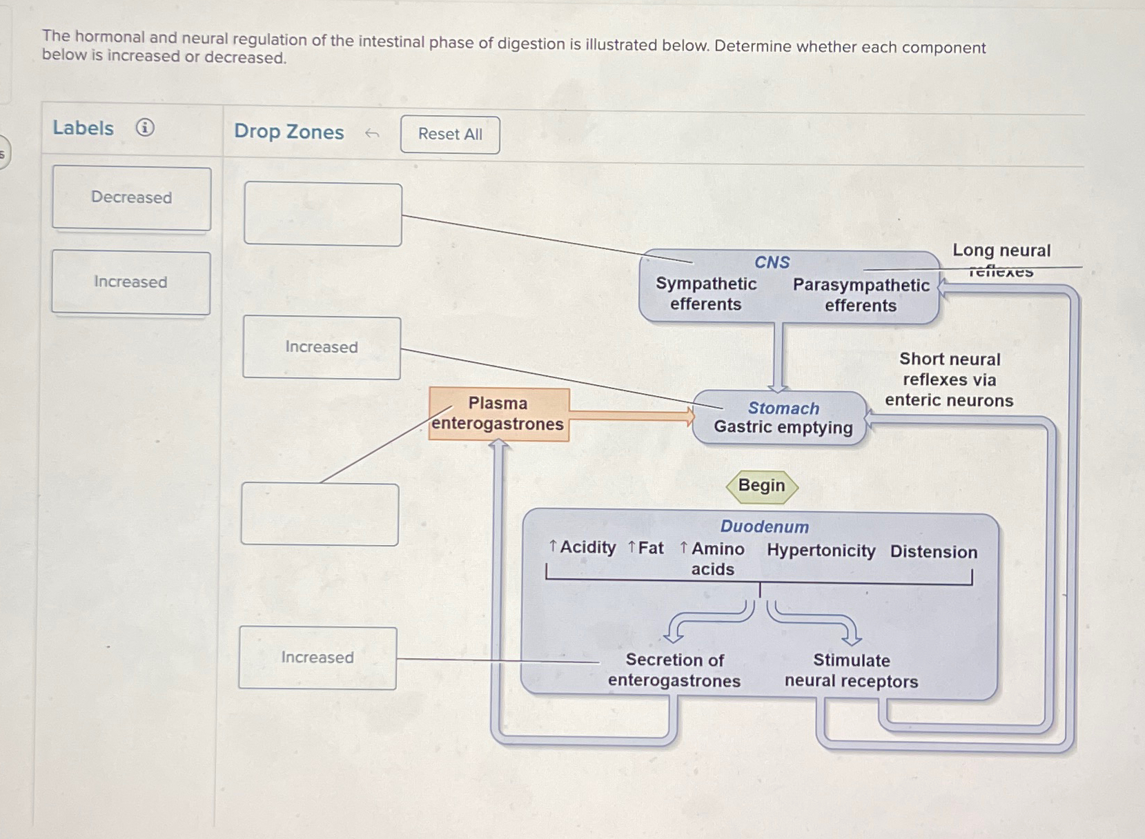 Solved The hormonal and neural regulation of the intestinal | Chegg.com