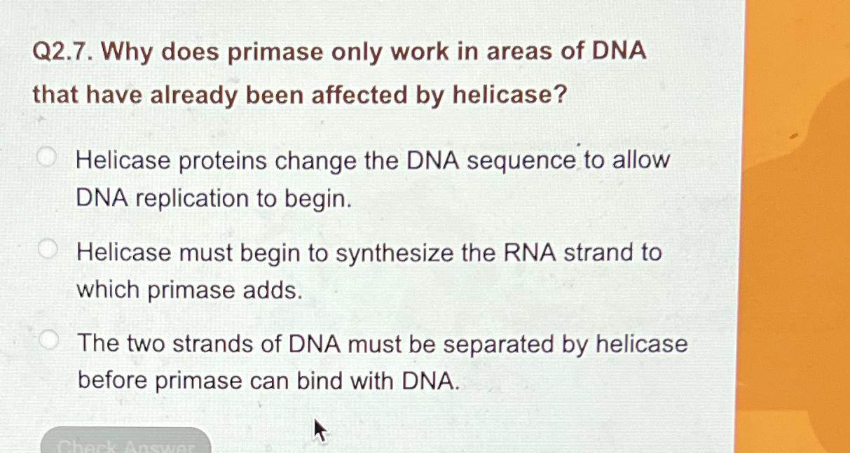 Solved Q2.7. ﻿Why does primase only work in areas of DNA | Chegg.com