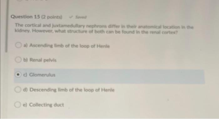 Solved Question 15 (2 points) Swed The cortical and | Chegg.com
