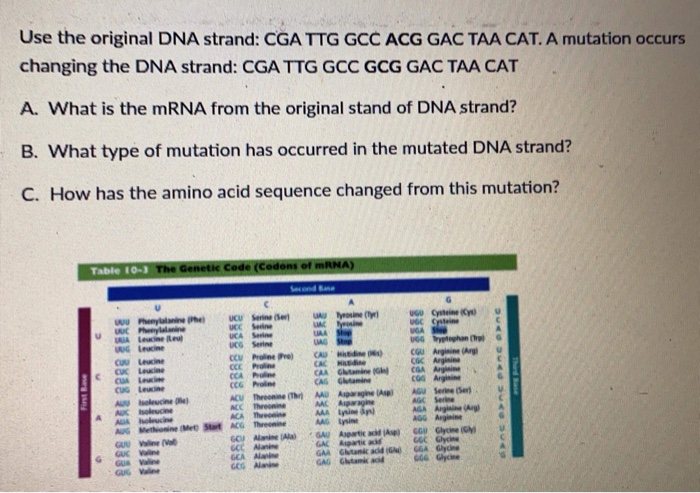 Solved Use the original DNA strand: CGA TTG GCC ACG GAC TAA | Chegg.com