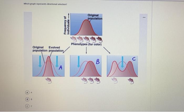 Solved Microevolution is defined as: A the process where one | Chegg.com