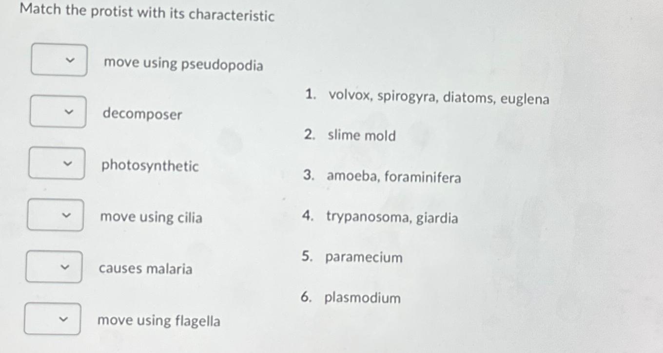 Solved Match the protist with its characteristicmove using | Chegg.com