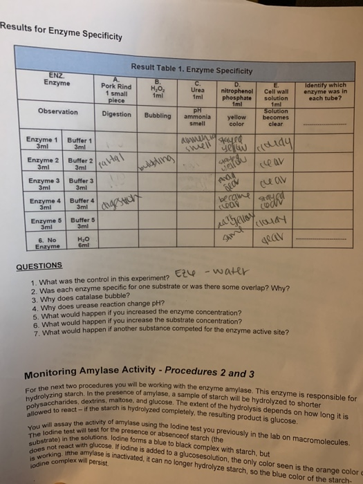 Solved Results for Enzyme Specificity Result Table 1. Enzyme | Chegg.com
